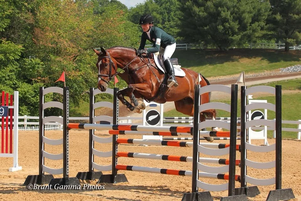 Sales Horses — Bourke Eventing