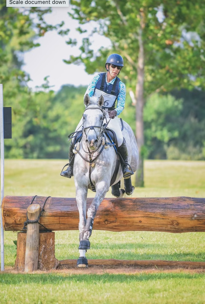 Lessons and Clinics — Bourke Eventing