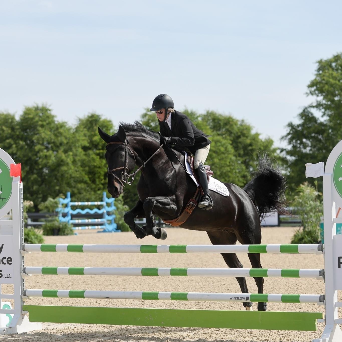 Horses For Sale — Bourke Eventing