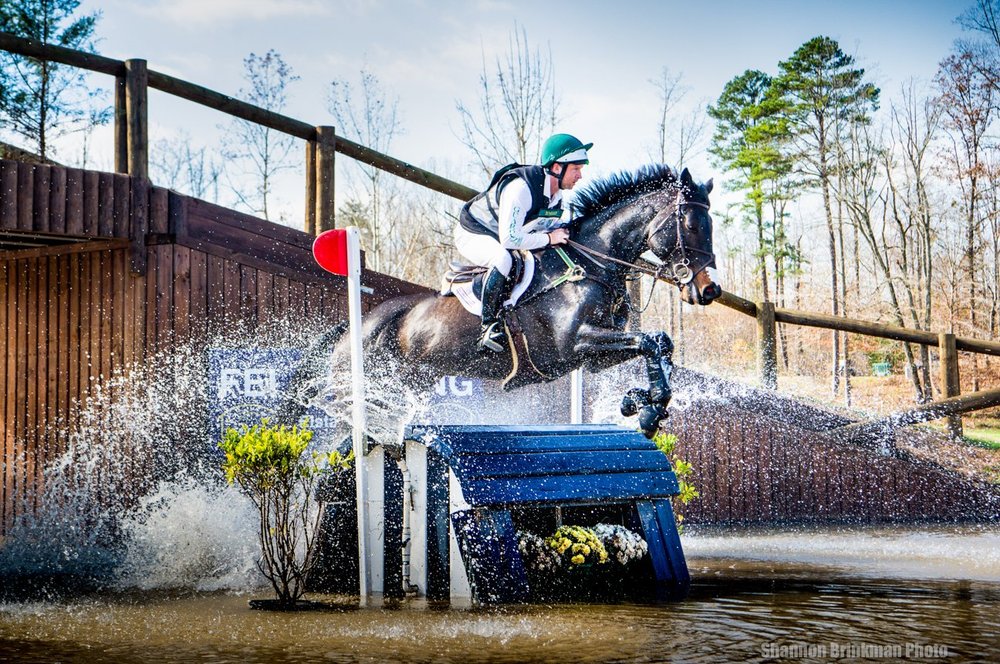 Our Horses — Bourke Eventing
