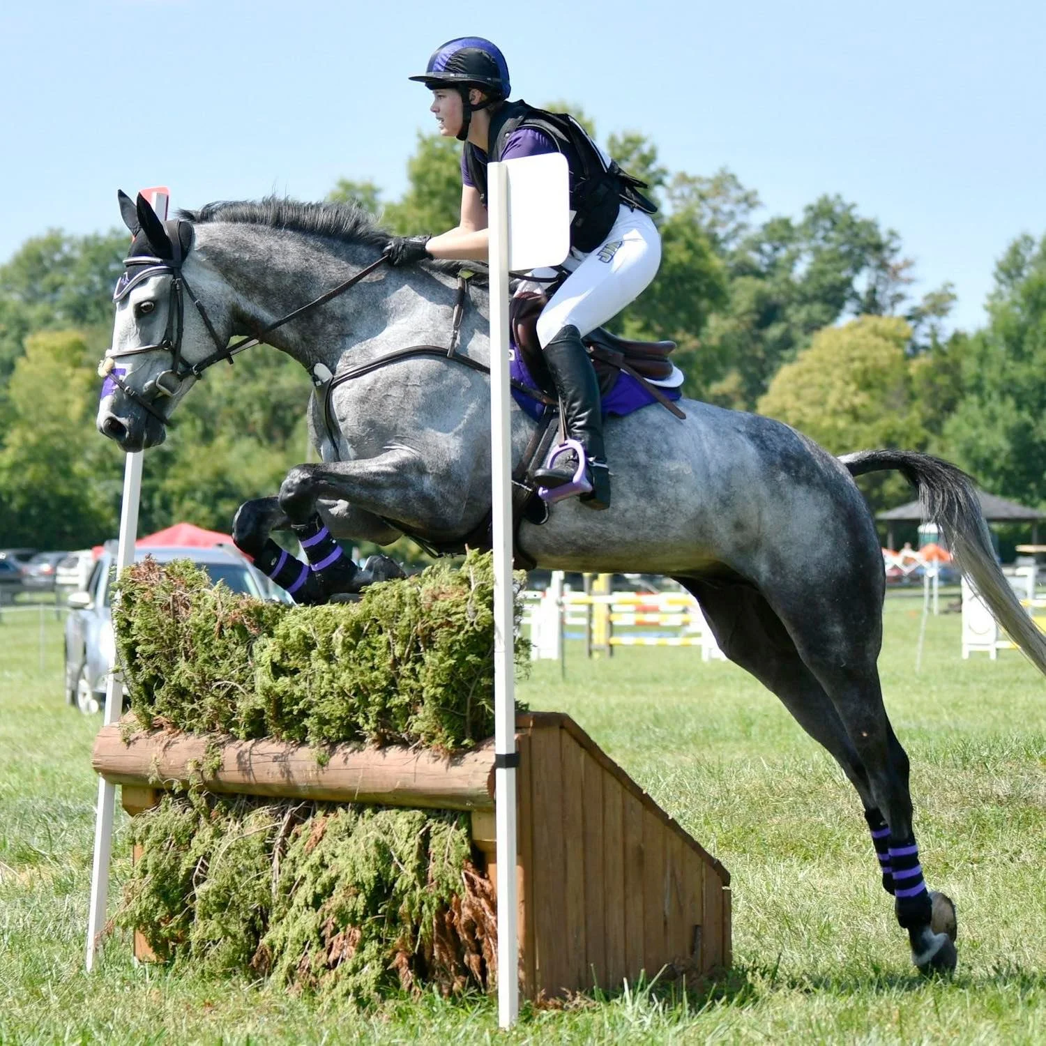Sales Horses — Bourke Eventing