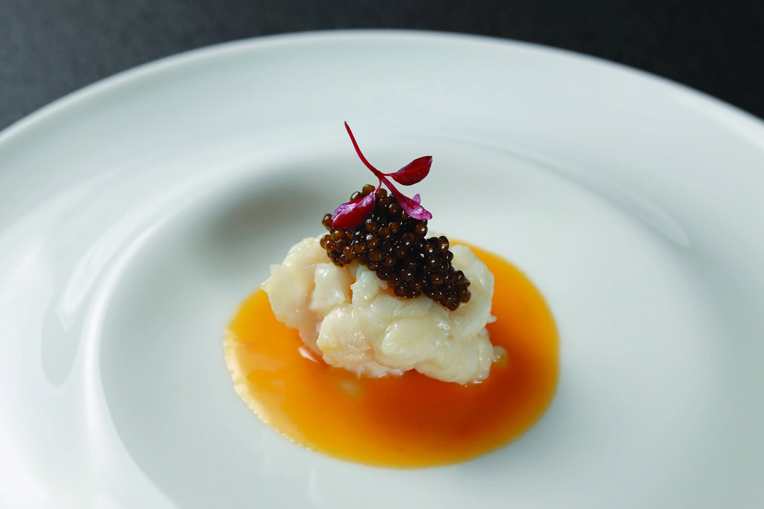 STURION CAVIAR Singapore | Buy Premium Osetra and Kaluga Caviar Online