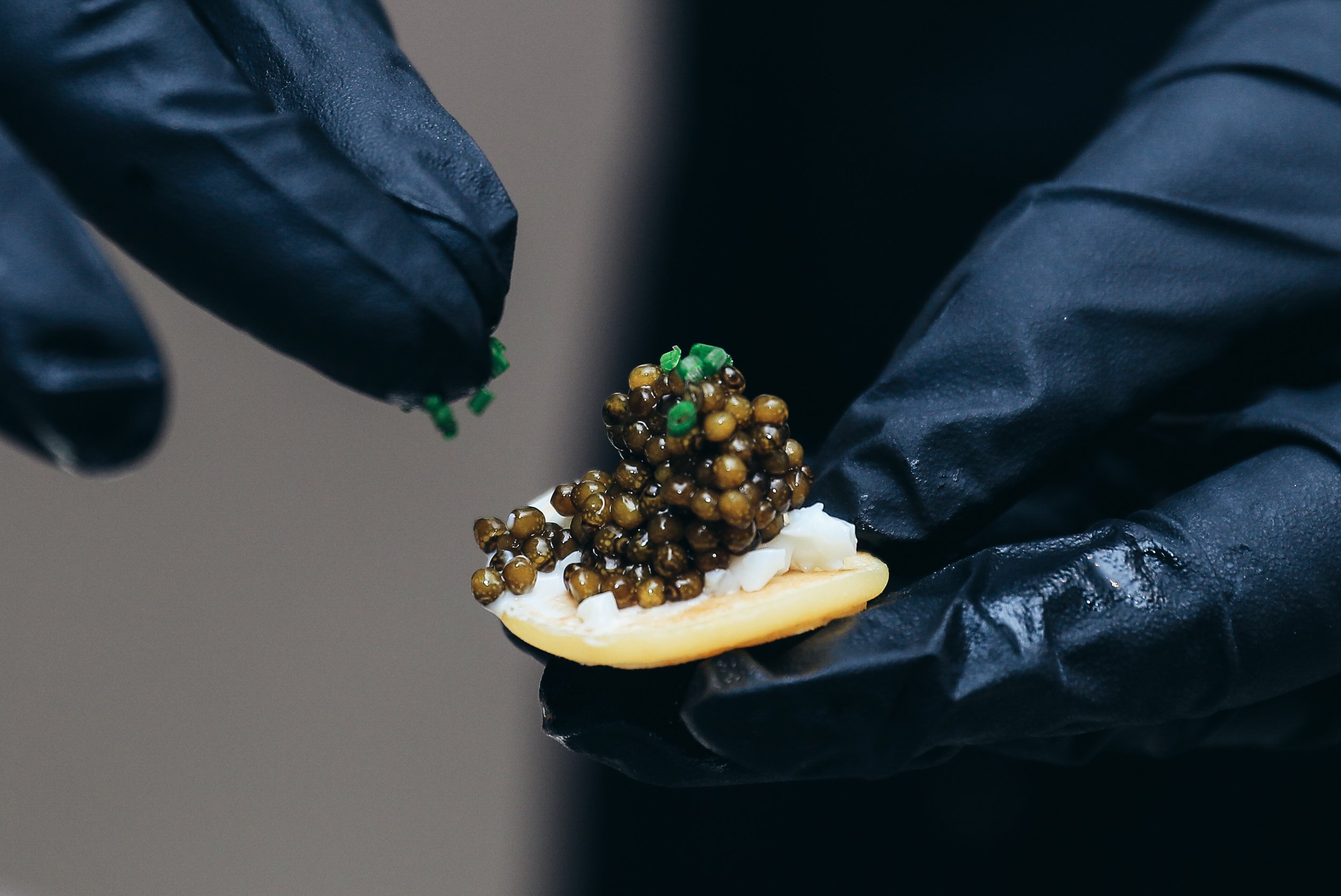 STURION CAVIAR Singapore | Buy Premium Osetra and Kaluga Caviar Online