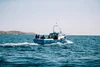 Salcombe Fishing Adventures - Mackerel and Bass fishing trips