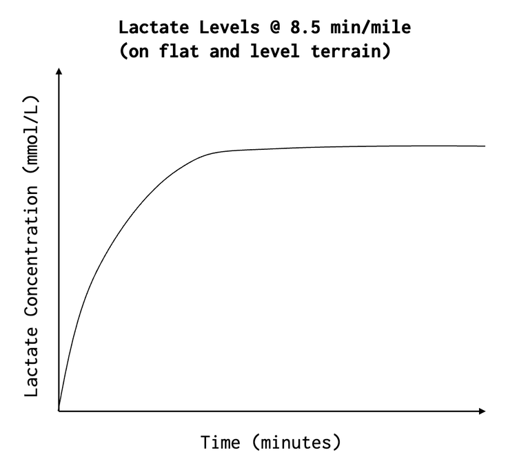 Running Lactate Threshold — High North Running