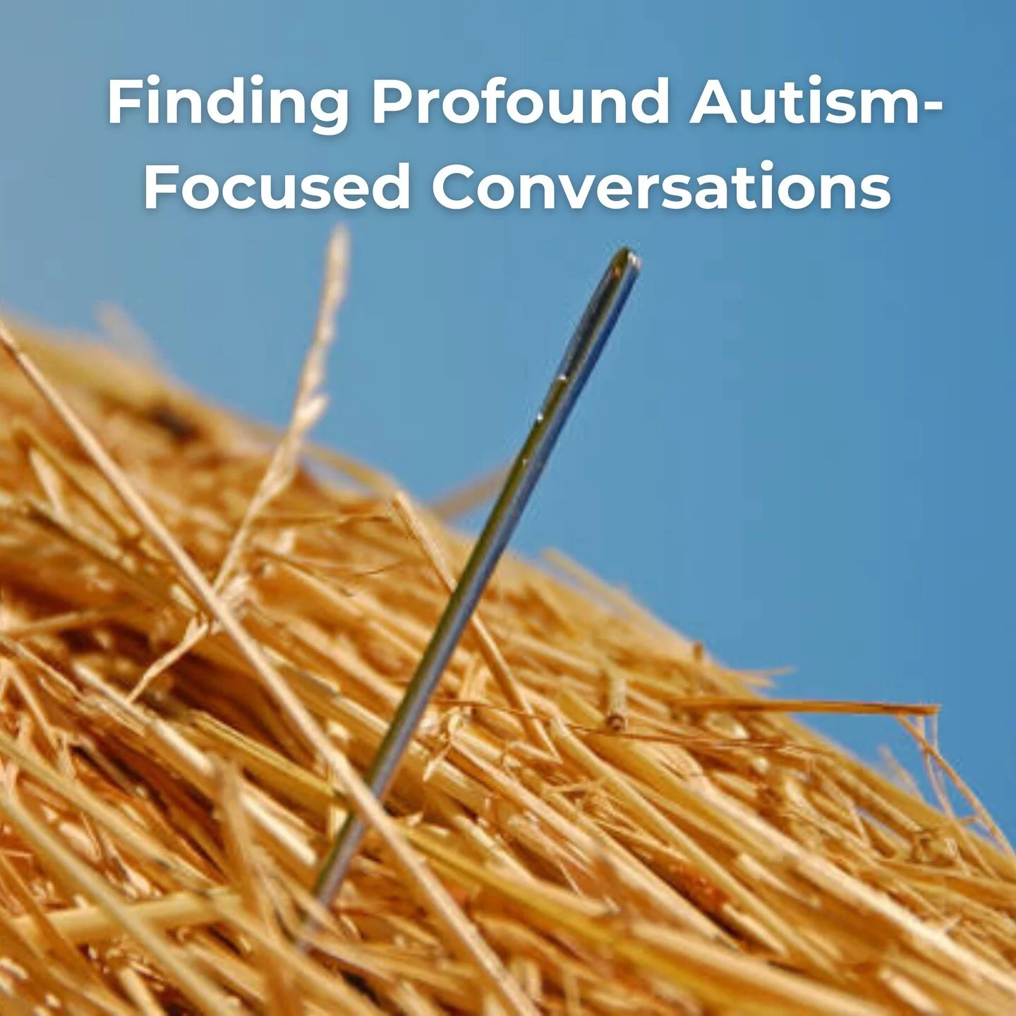 Profound Autism Summit
