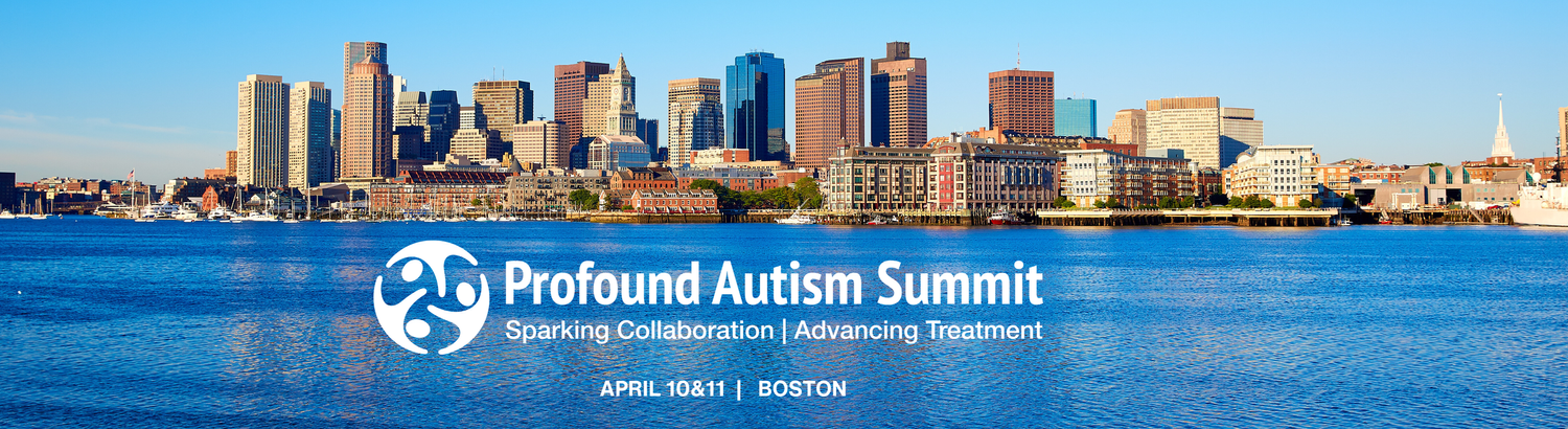 Profound Autism Summit