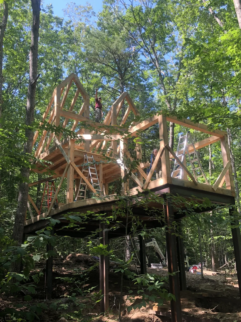 The Build — The Copper Fox Treehouse