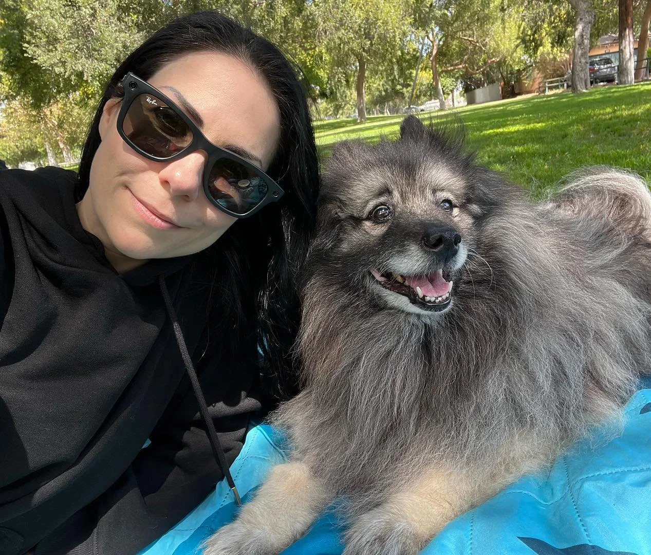 Team 1 — Southern California Keeshond Rescue