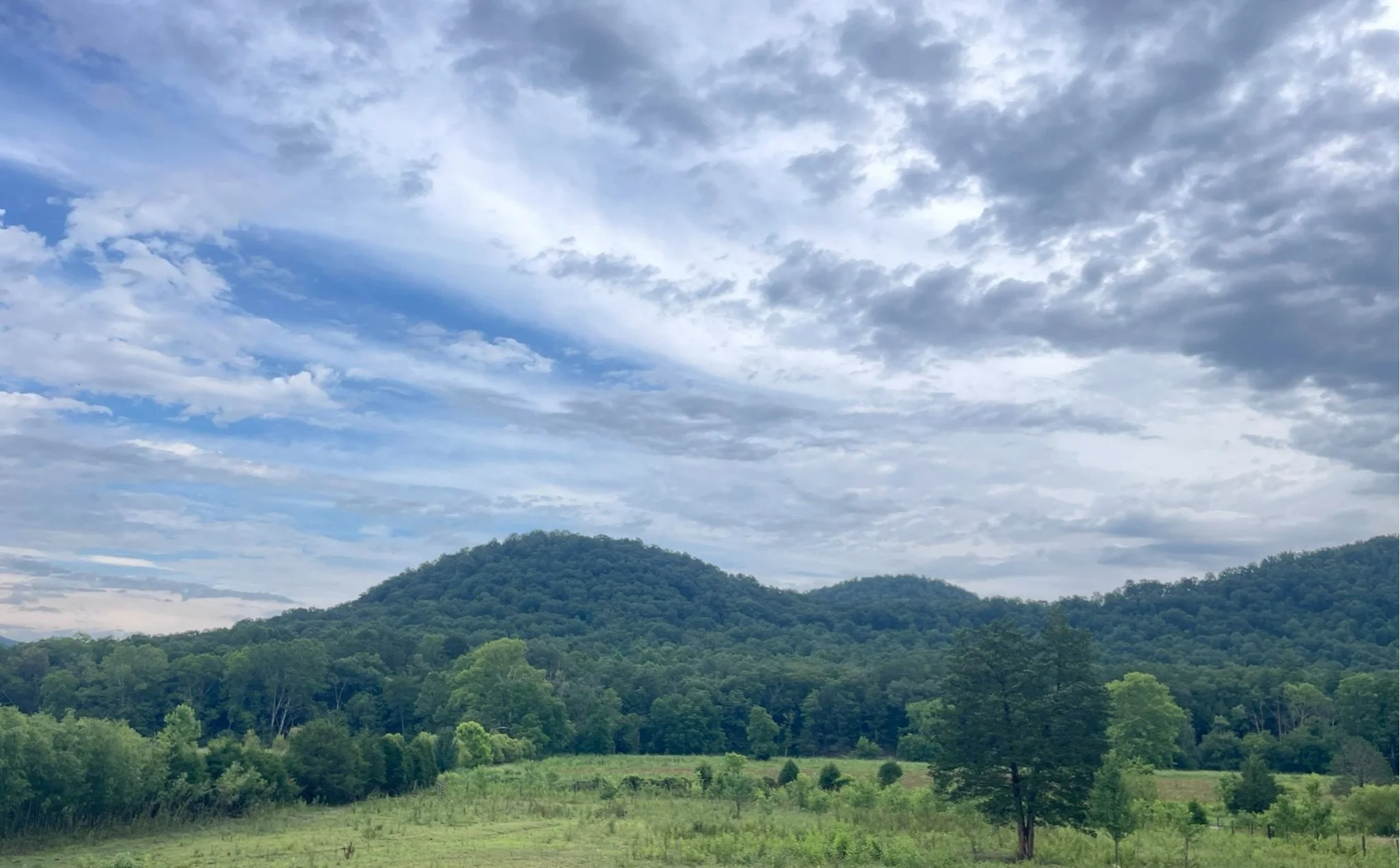 Red Haven Farm | Pastured Pork | Grass-Fed Beef | High Quality Goat ...