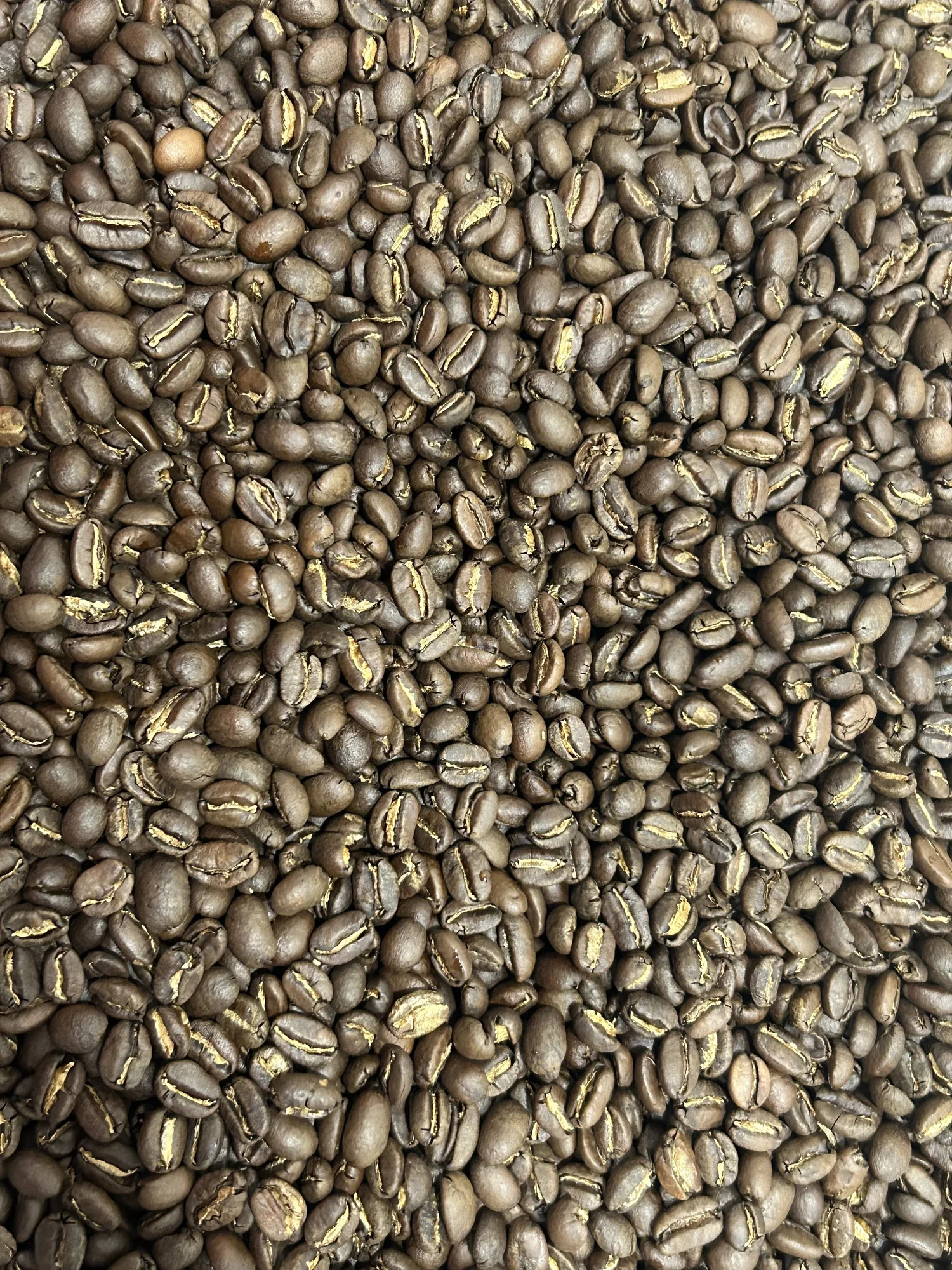 Mane Brew Coffee | Discover Fresh Coffee Today