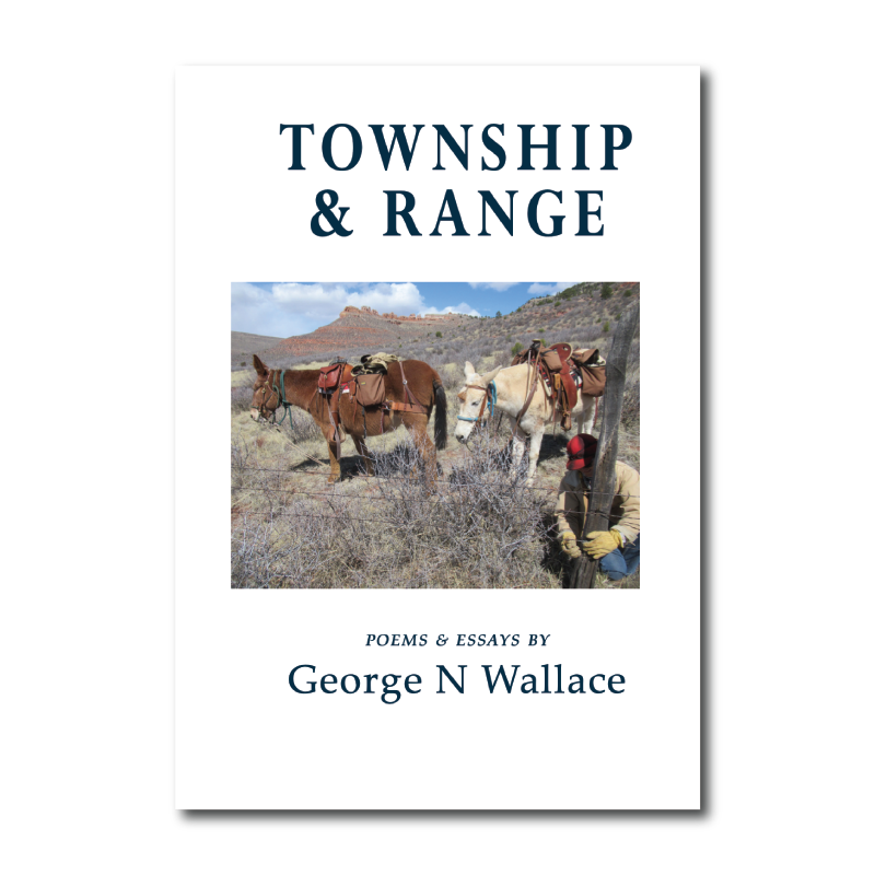 Township & Range — George N Wallace