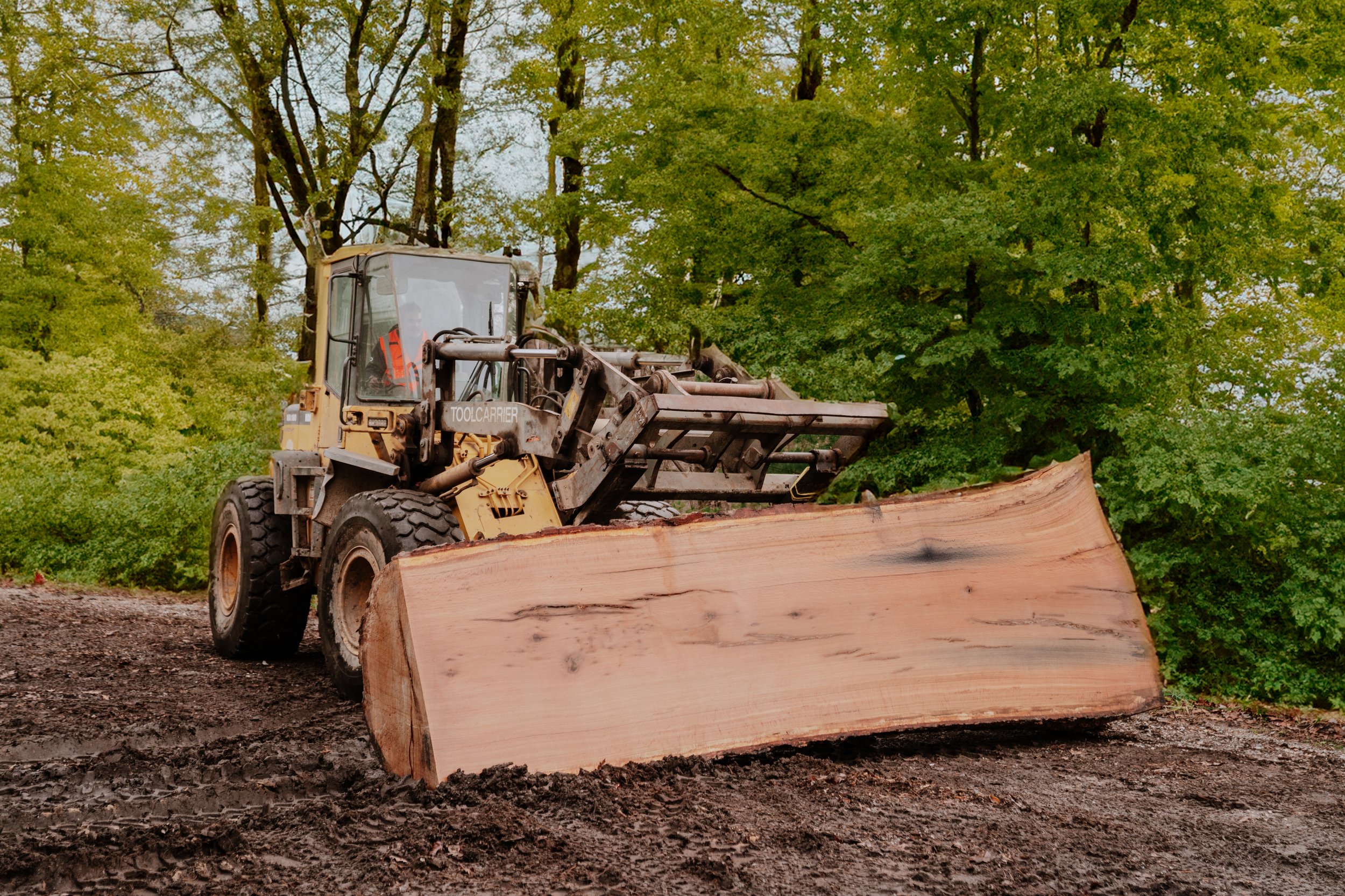Slabs — Fallen Lumber Co.