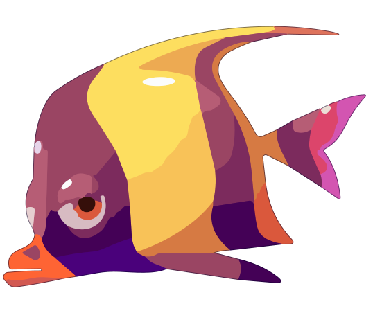 Find a Tutor now with TutorShark! First session for free!