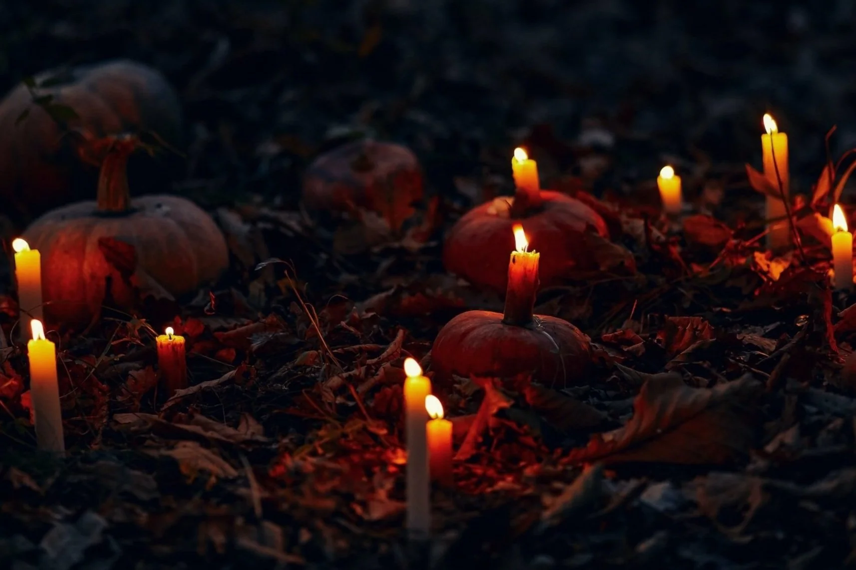 Halloween in Australia — Hallozween