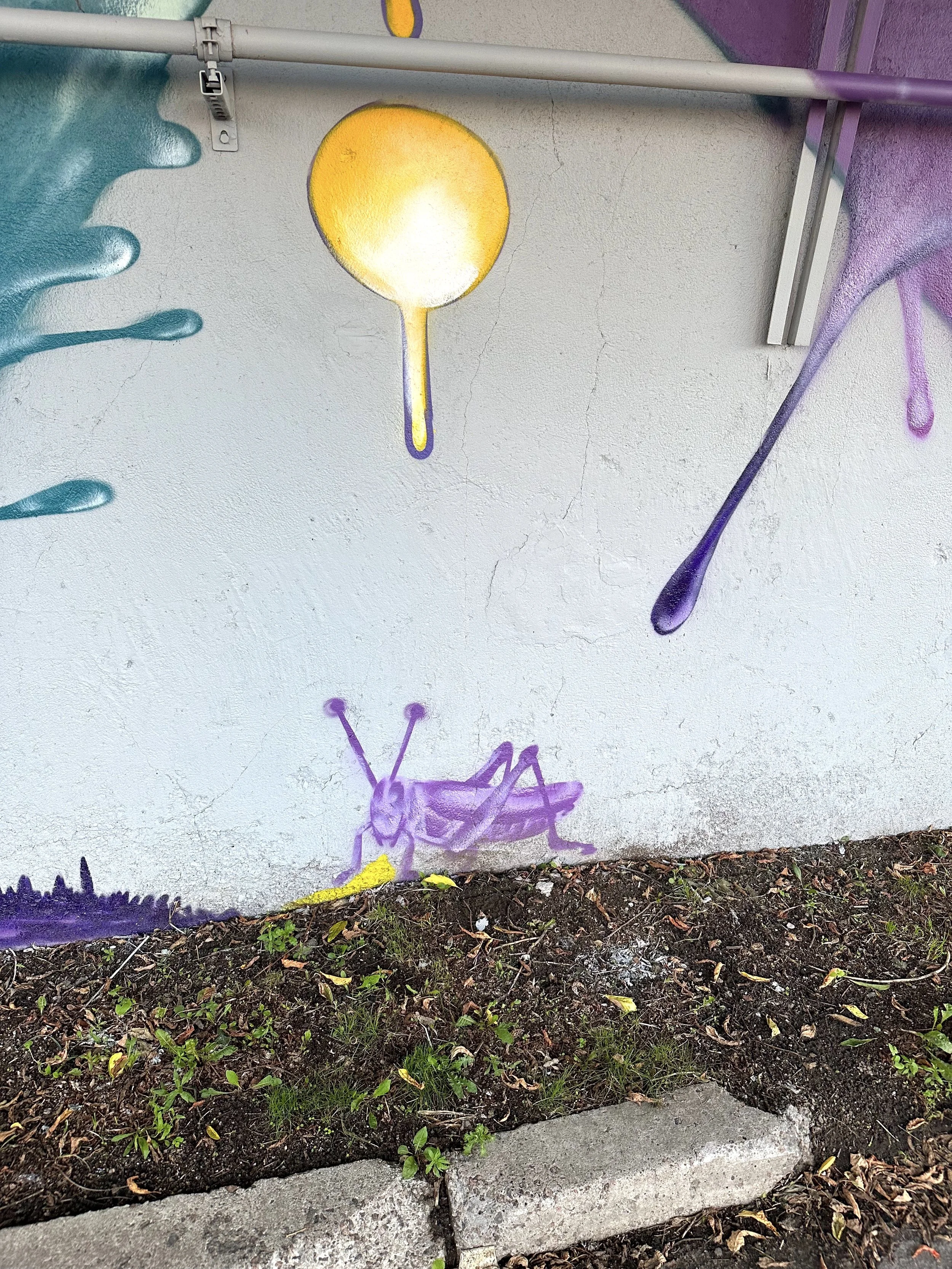 Graffiti Hawk – custom graffiti and murals in Latvia and worldwide ...