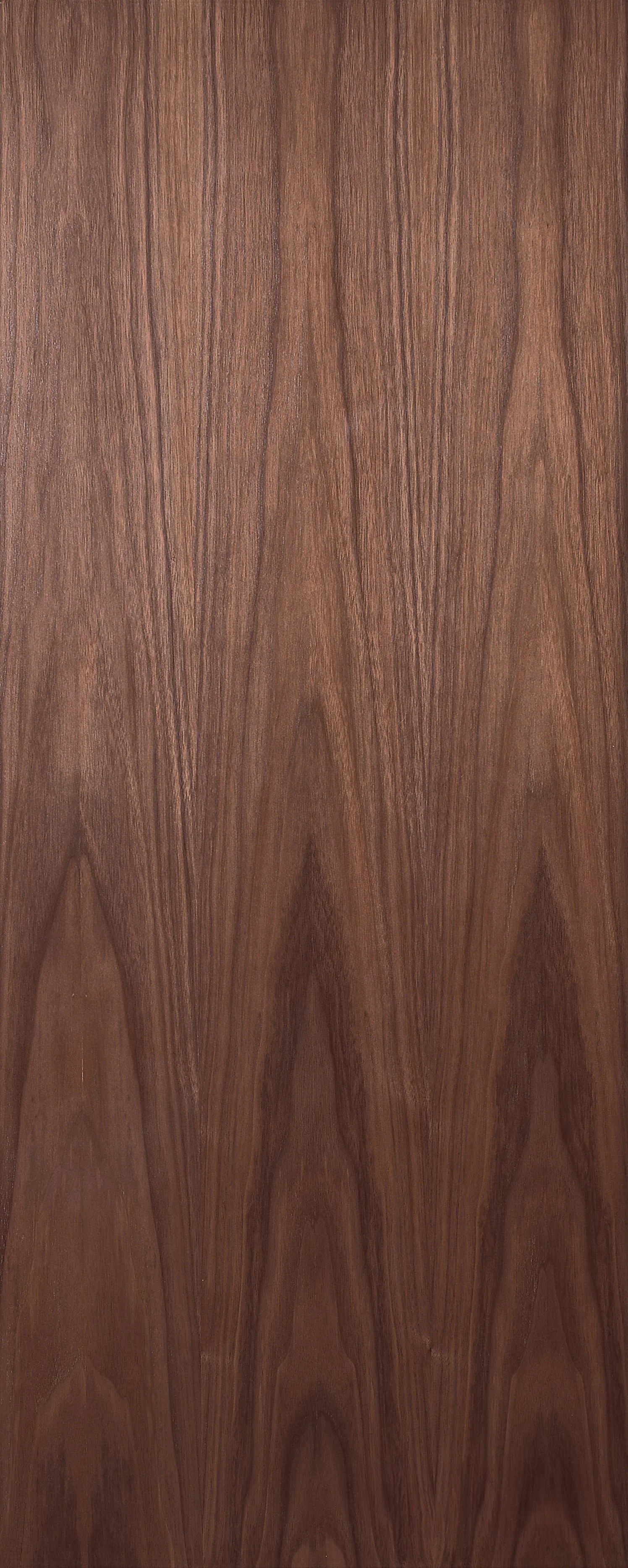 Premium Internal Walnut Doors — Premier Doors