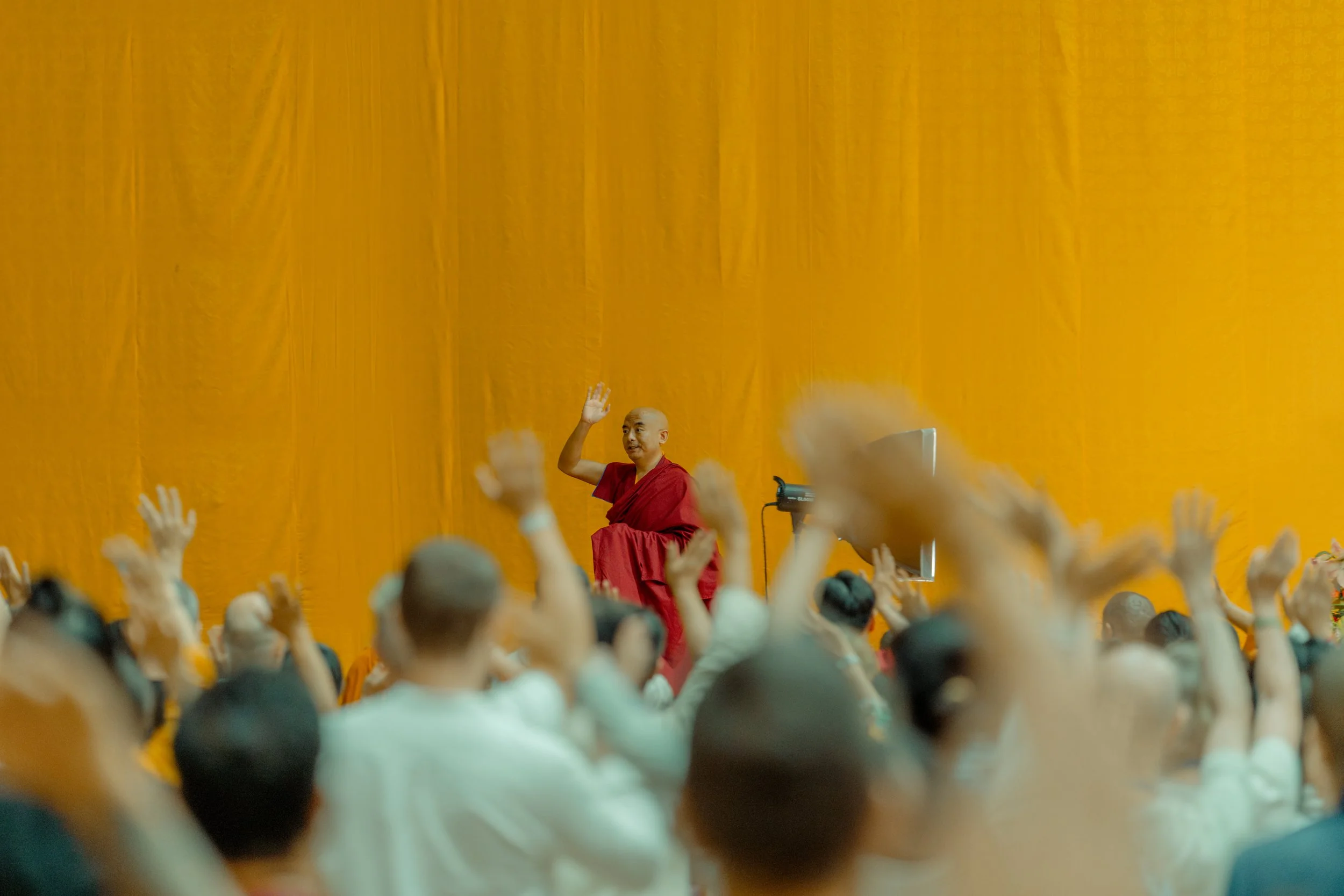 Introducing My Path — Tergar Meditation Community