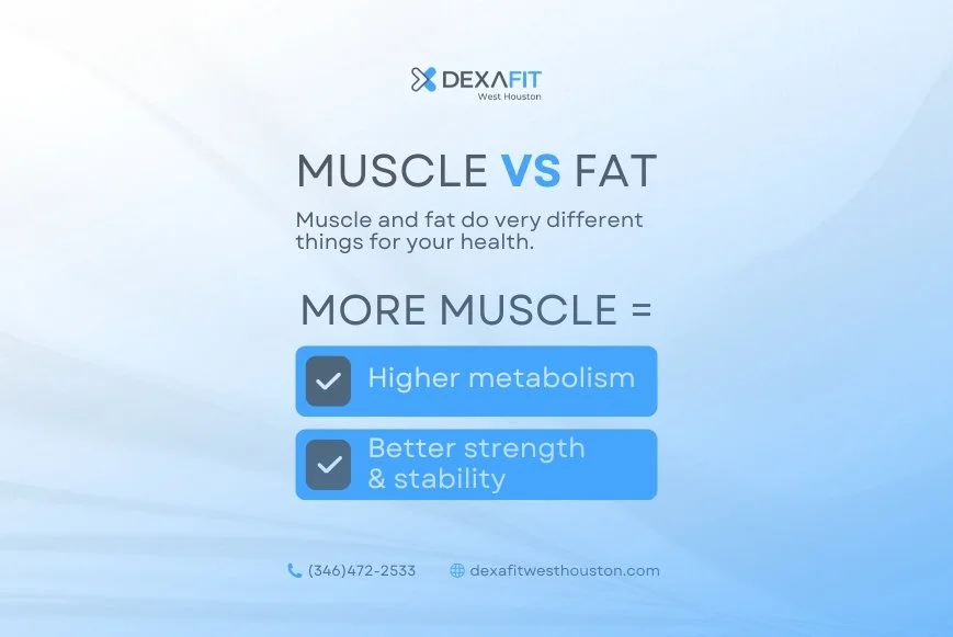 Muscle vs Fat: The Scale Can’t Tell the Full Story — DexaFit West Houston