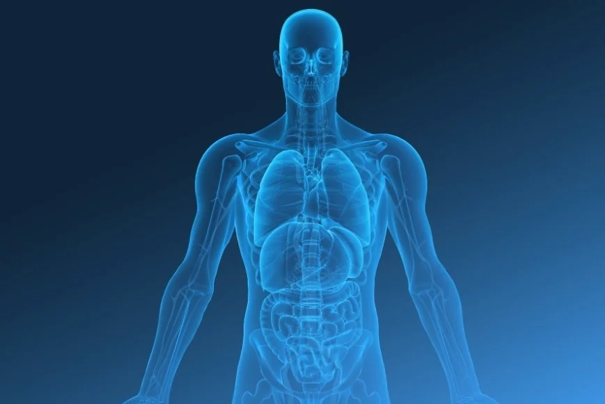 3D Body Scanning in Houston for Fitness Progress Tracking — DexaFit ...