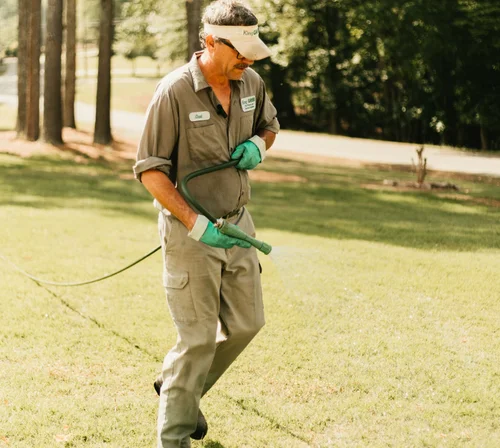 Spraying Yard for Mosquitoes: How to Enjoy Mosquito-Free Living in ...