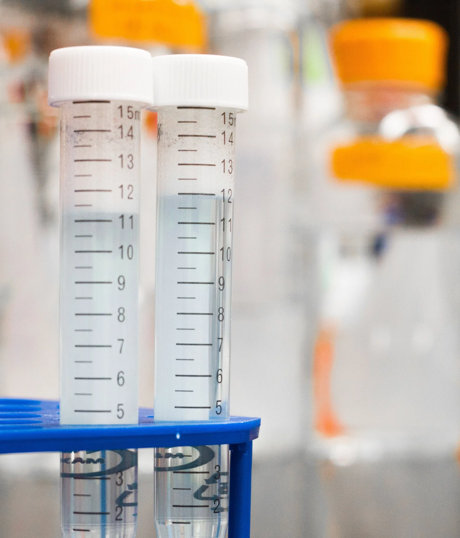 Cactus Antimicrobial