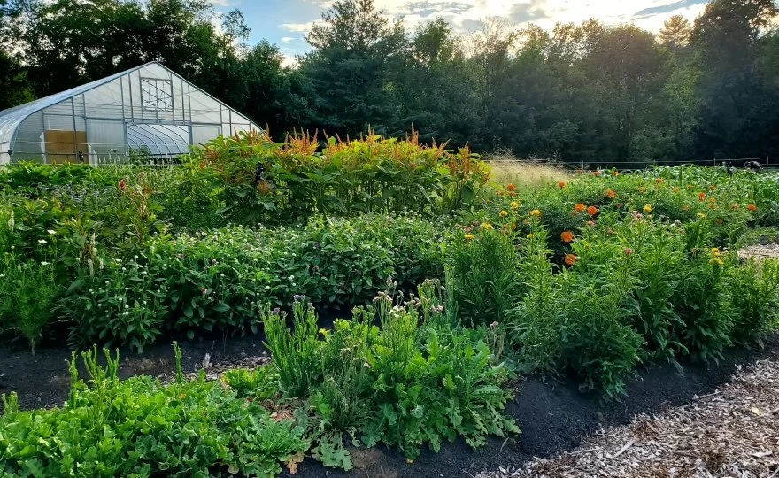 NOFA-MA Soil Testing Events — NOFA-NH