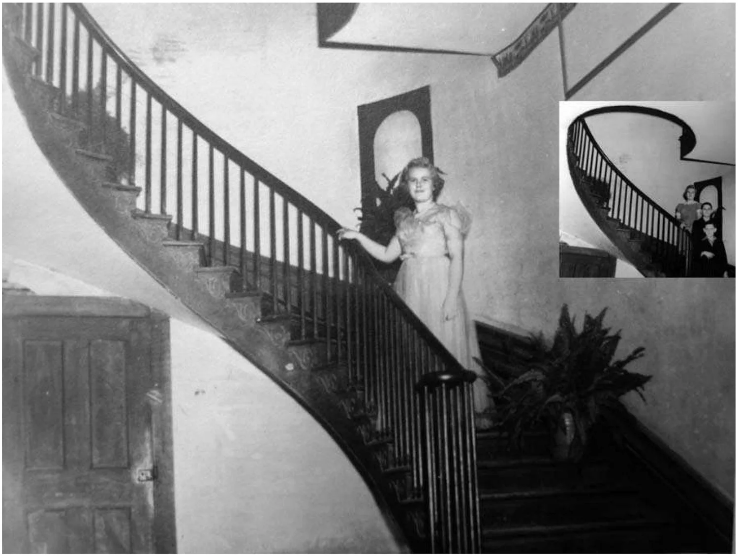 History — Harris Farms HSV