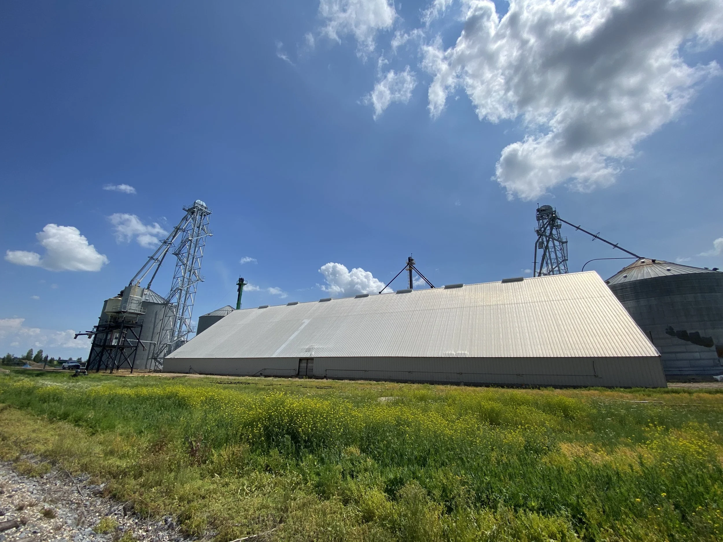 Alfalfa Green Organic Fertilizers