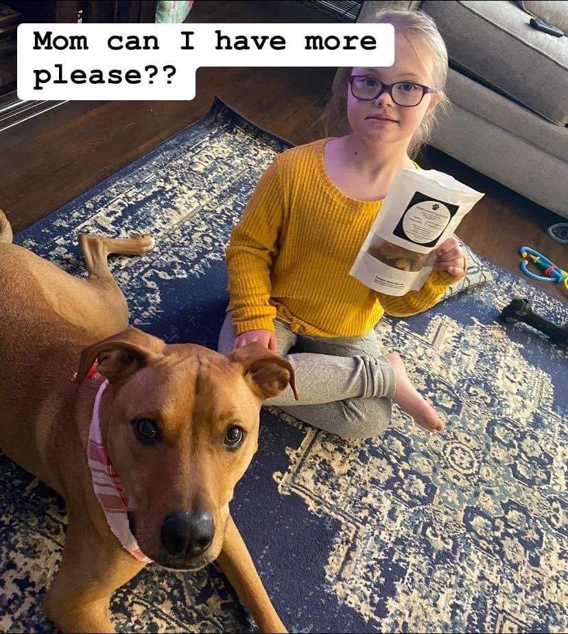 “Superfood” Ingredients we use in our Dog Treats to give your dog the ...