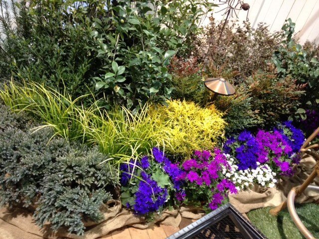 Landscape Design & Installation Services in Raleigh & Wake Forest | Nature First Landscaping