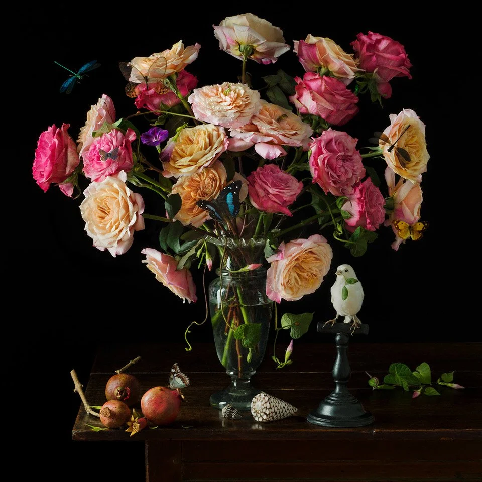 Fiori del Giardino, Tavormina's Still Life Photography Inspired by ...
