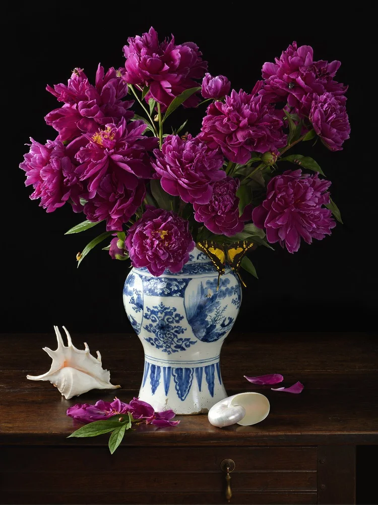 Fiori del Giardino, Tavormina's Still Life Photography Inspired by ...