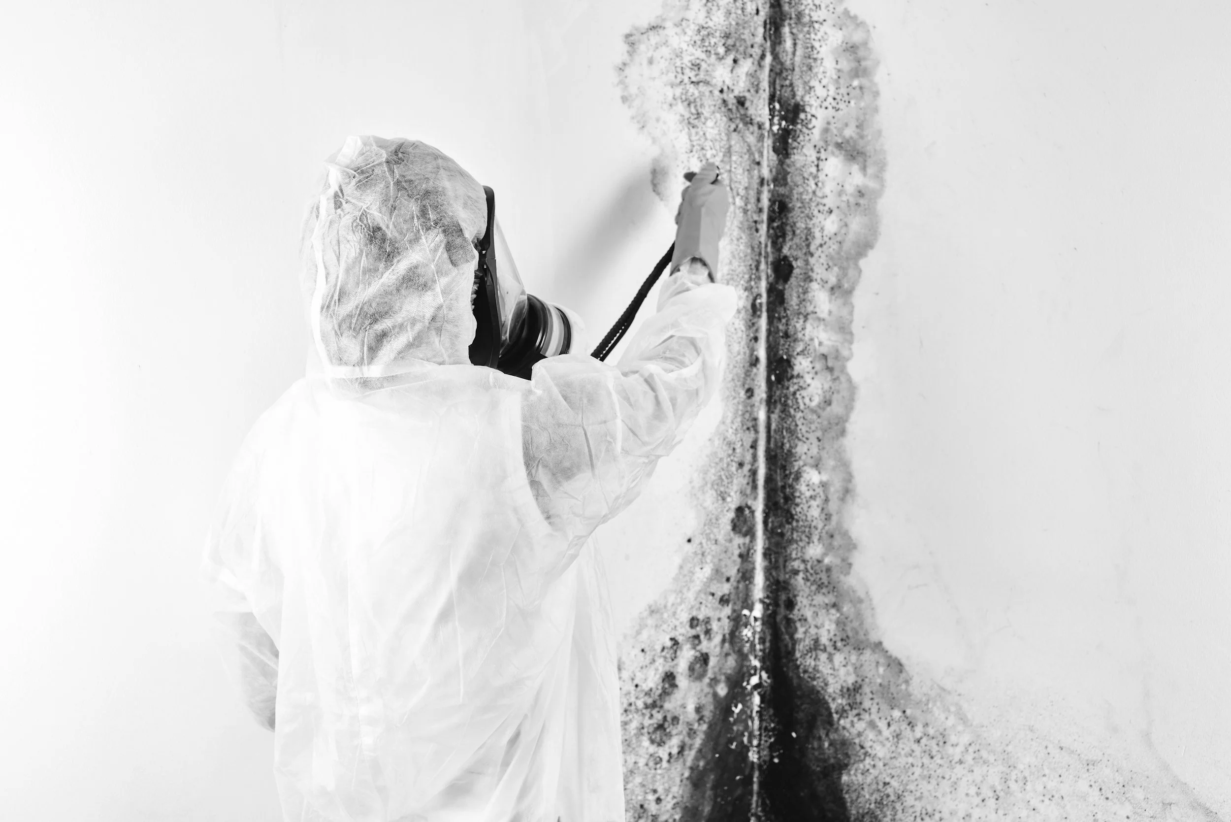 Dedicated Mold Specialist