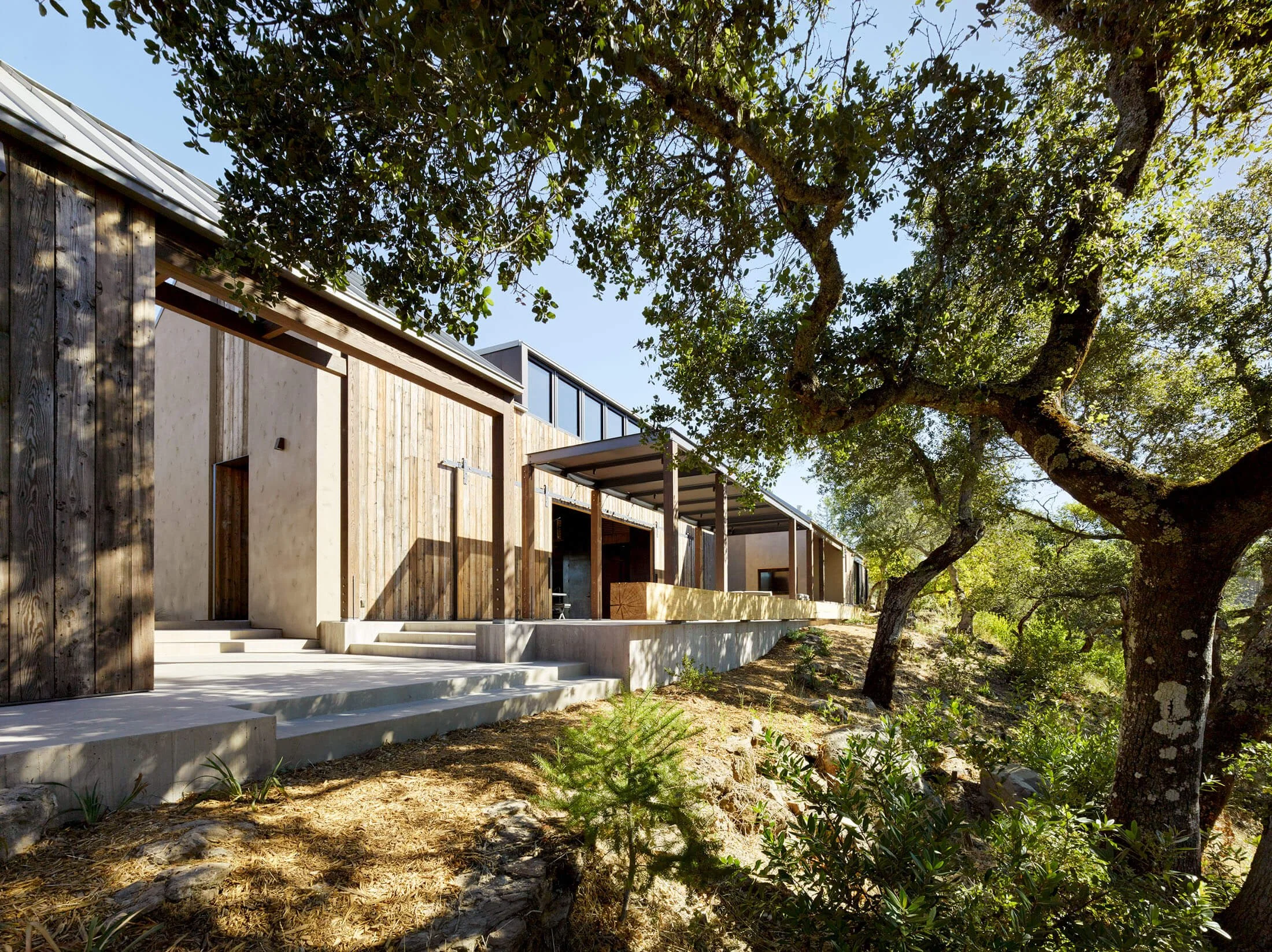 Sentinel Ridge — Field Architecture