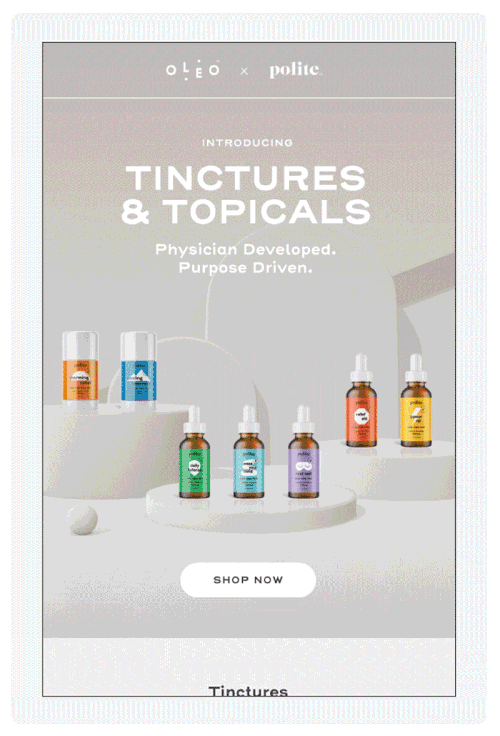 Oleo | The Ordinary Good Branding & Creative Agency — The Ordinary Good ...