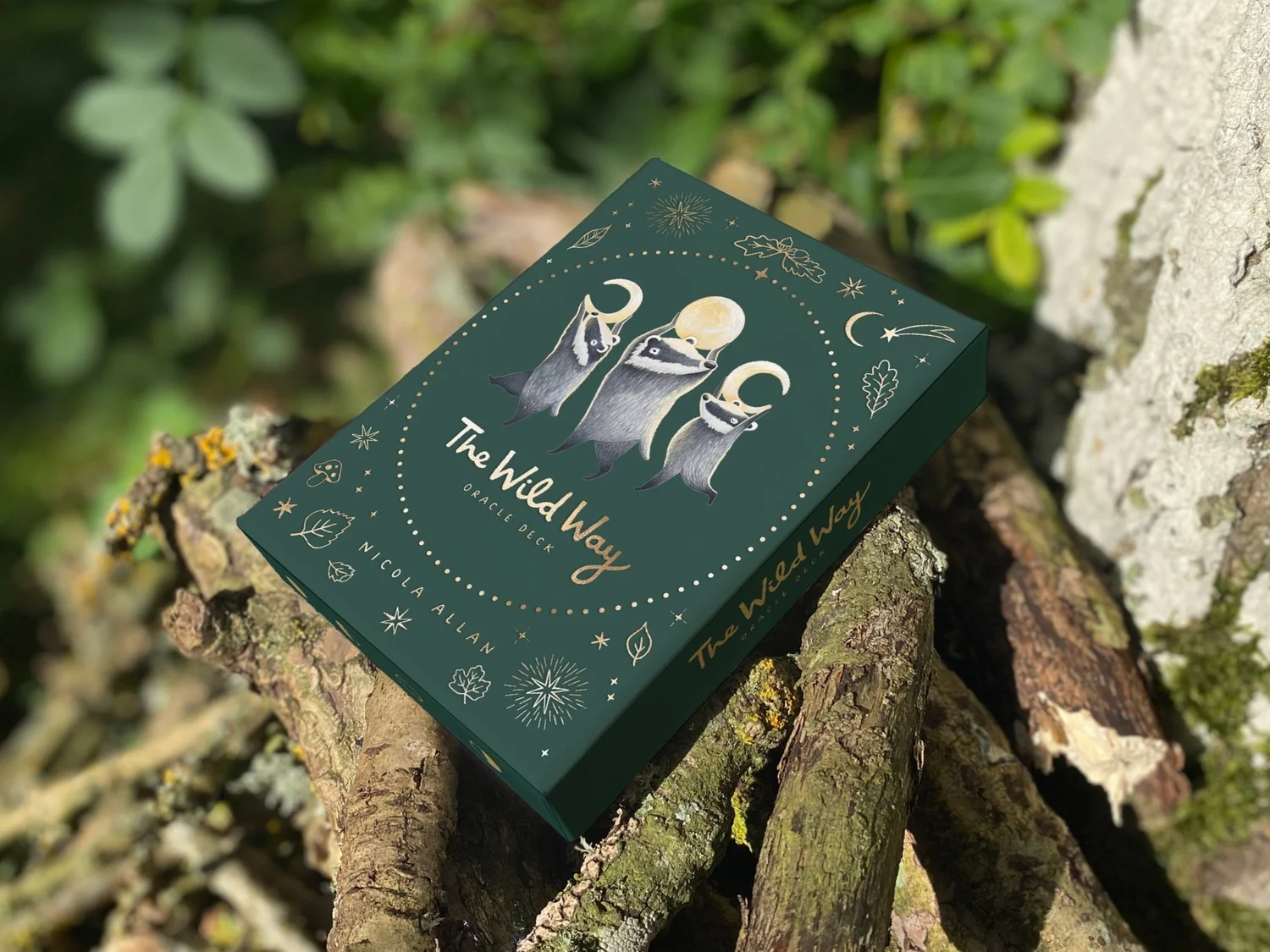 The Wild Way Oracle Deck | Reconnect Remember Rewild — The Wild Way