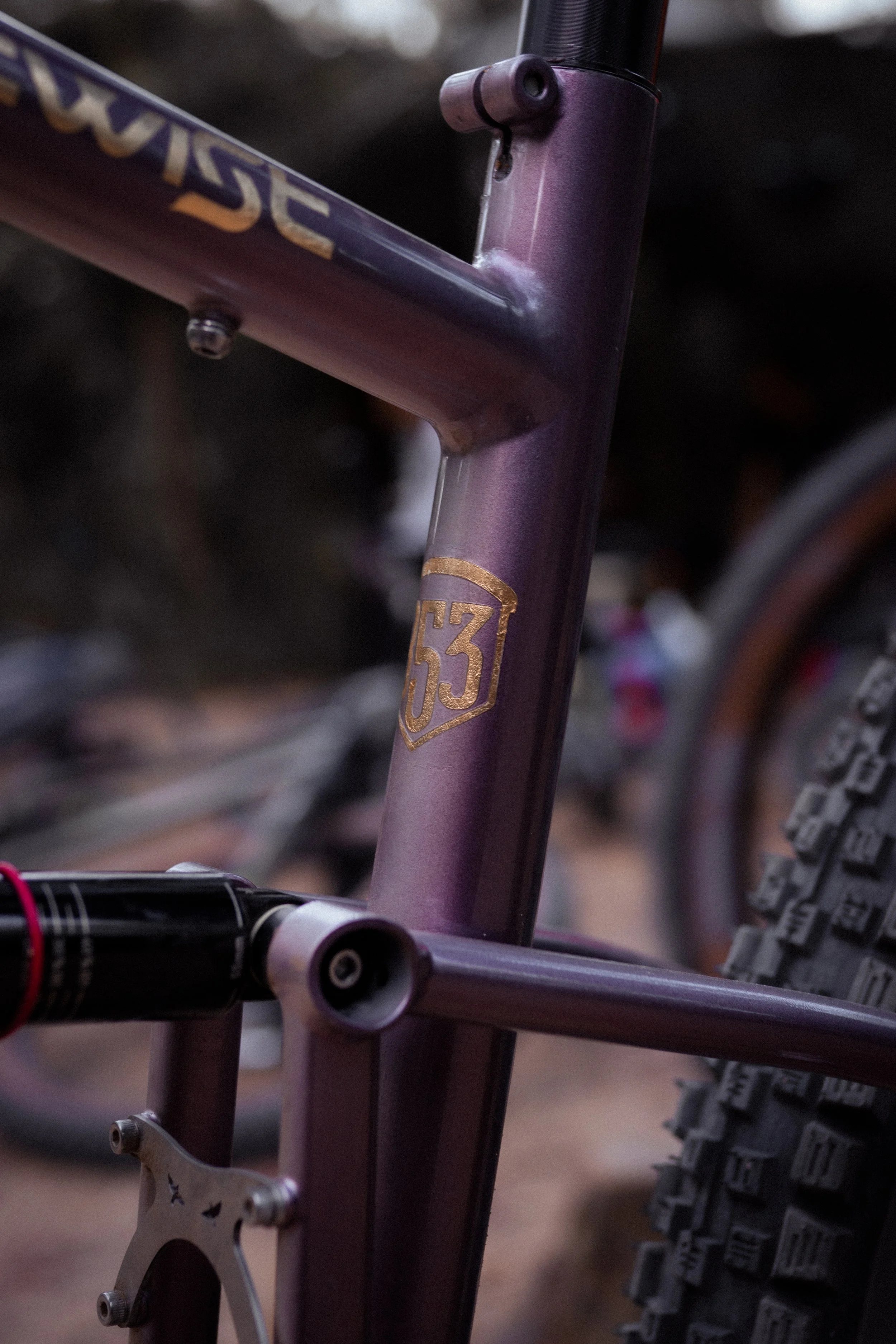 Starling Twist Steel Full Suspension Enduro MTB Mauve Taupe — Bike ...