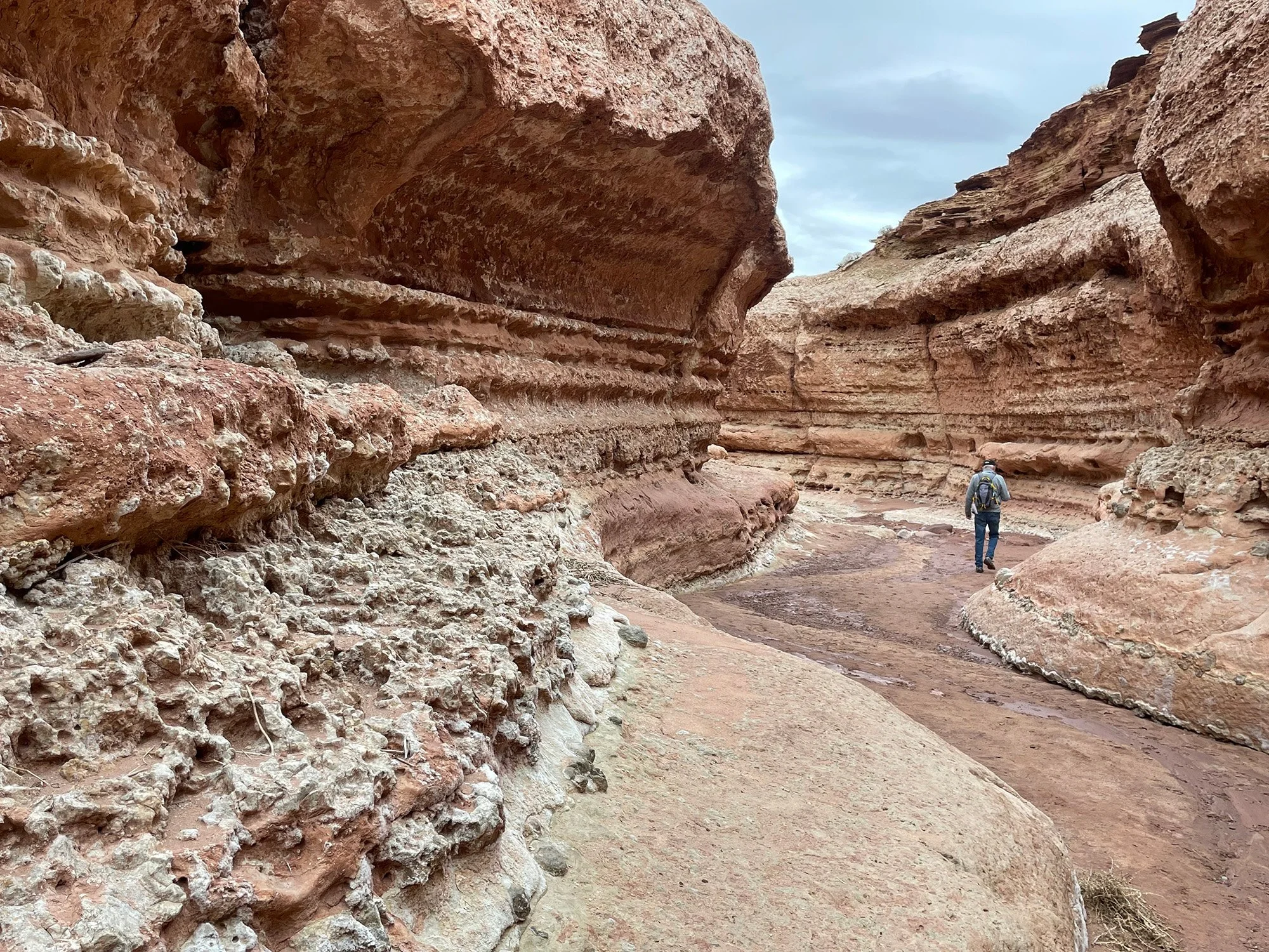 Lower Cathedral Wash Trail — Lake Powell - Glen Canyon - Northern ...