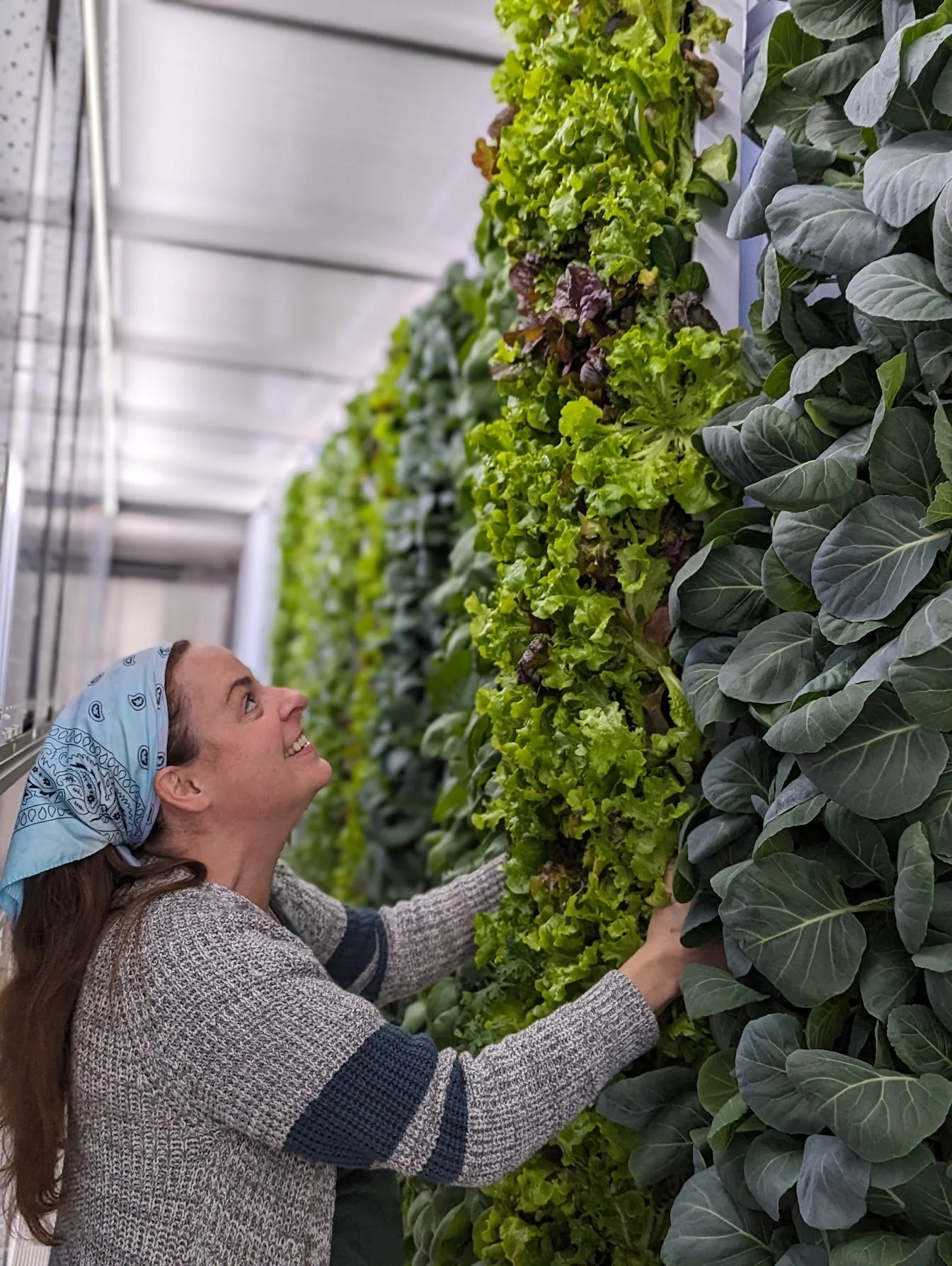 About — The Farm Powered by VOA