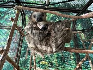 Pediatric & Adult Counseling | Marriage & Family Therapy | Parent ...