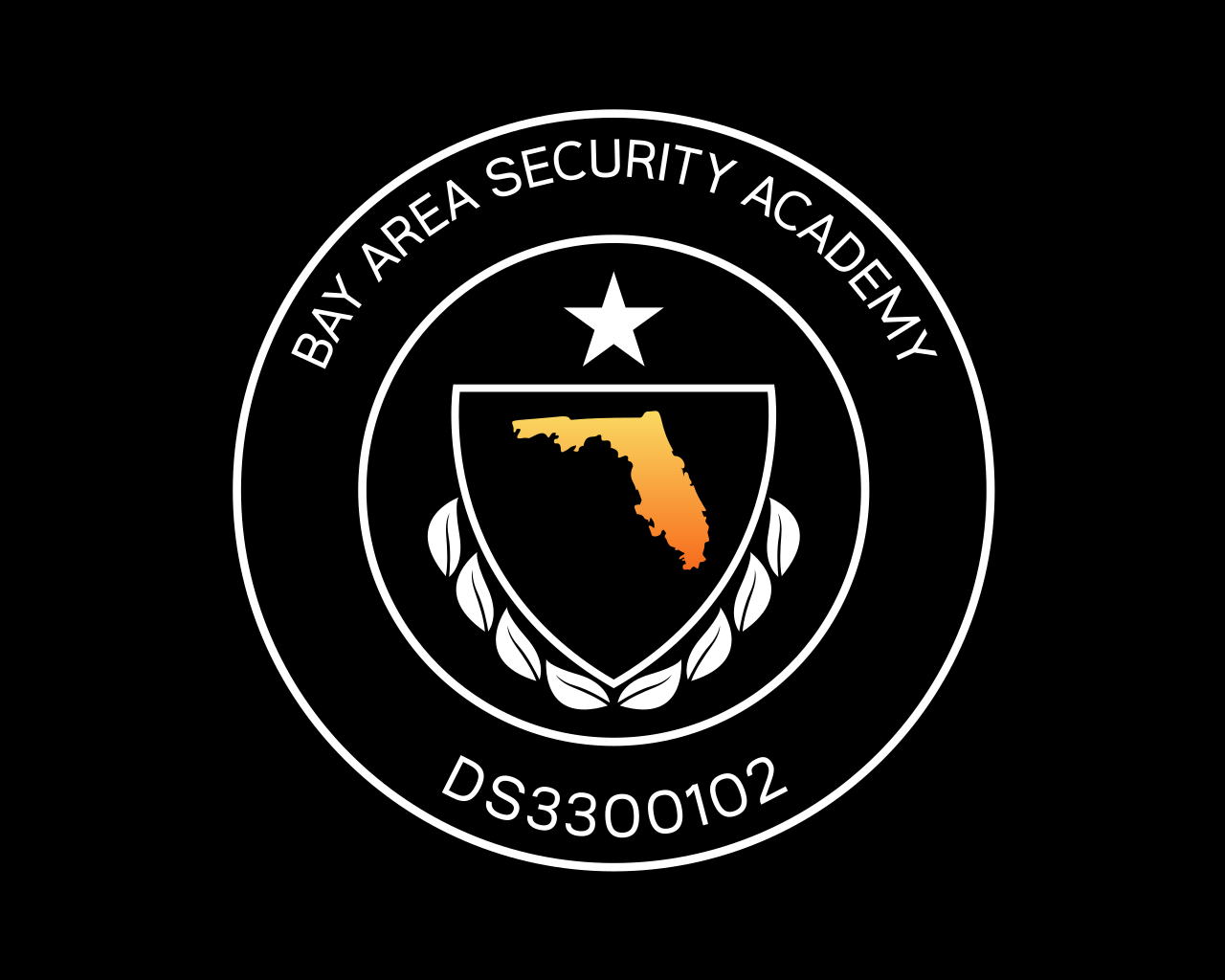 Bay Area Security Academy