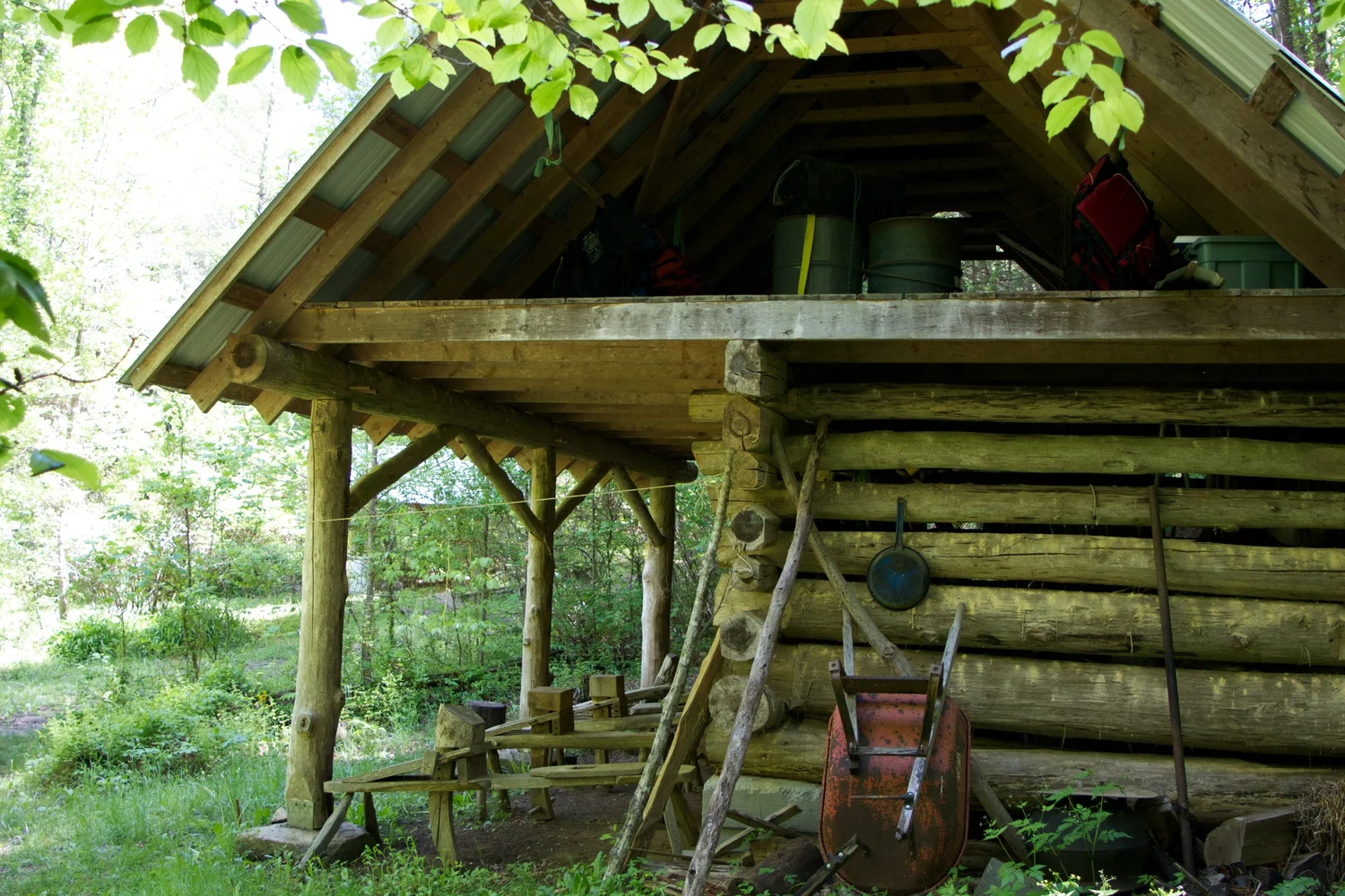 About — Buffalo Cove