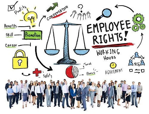 Employment Rights for Federally-Regulated Employees | Vey Willetts LLP ...
