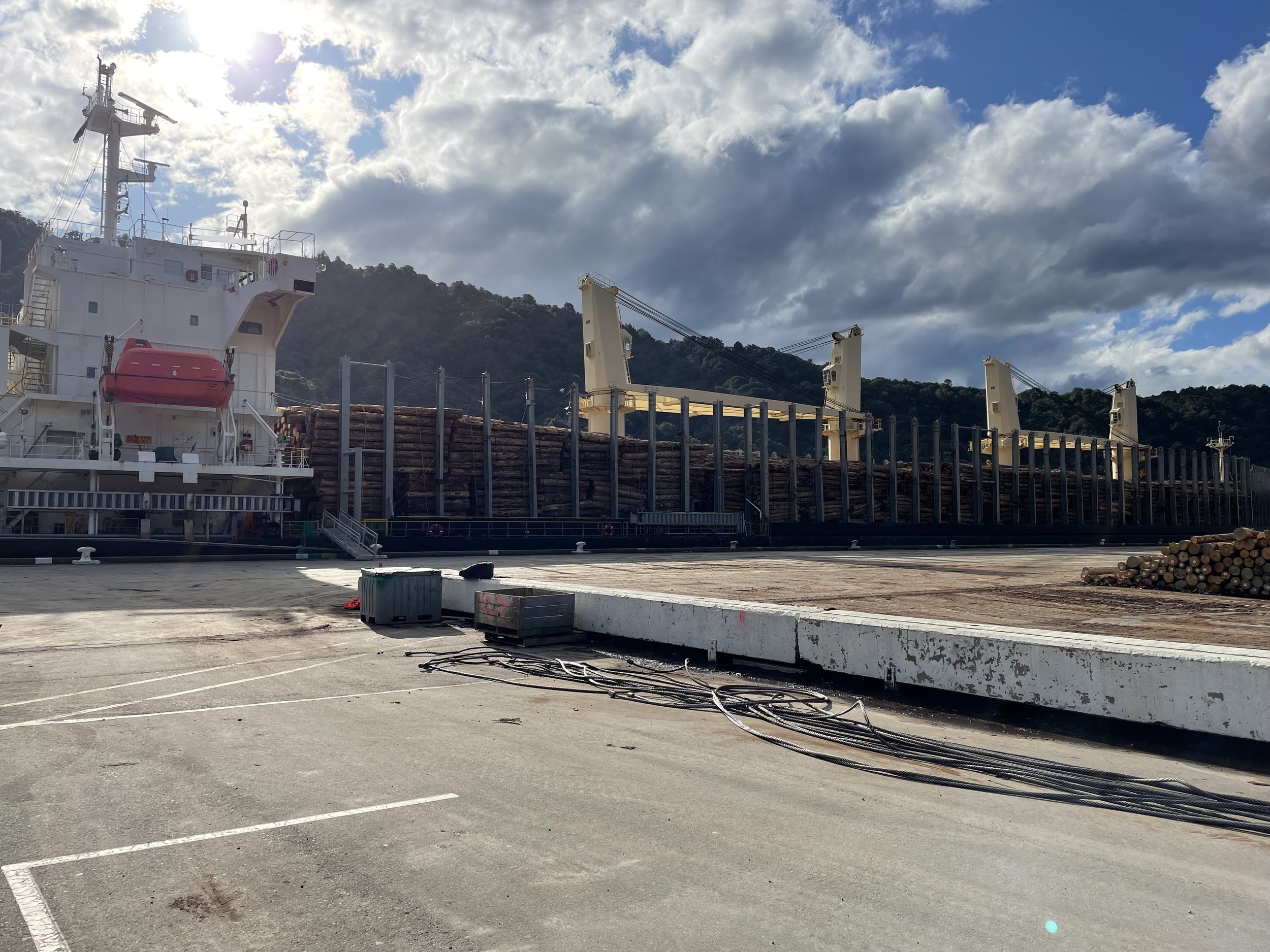 NELSON SHIPPING AGENCIES