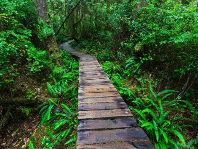 Carbon Offsetting — Home | Luxury holidays | Huben Travel