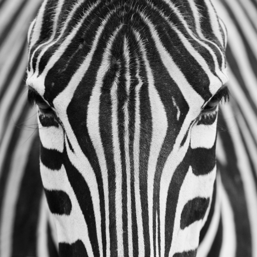 Upcoming Hosted Events — Home | Luxury holidays | Huben Travel