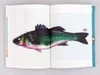 WERK No16 | Explore Innovative Artworks Today — JOE MAGEE