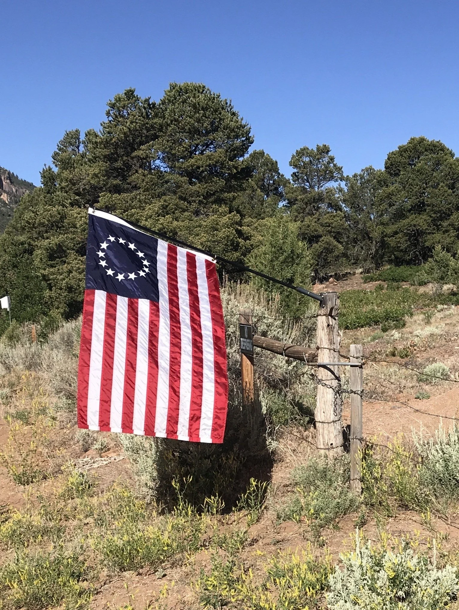 Constitution Alive Grand Junction
