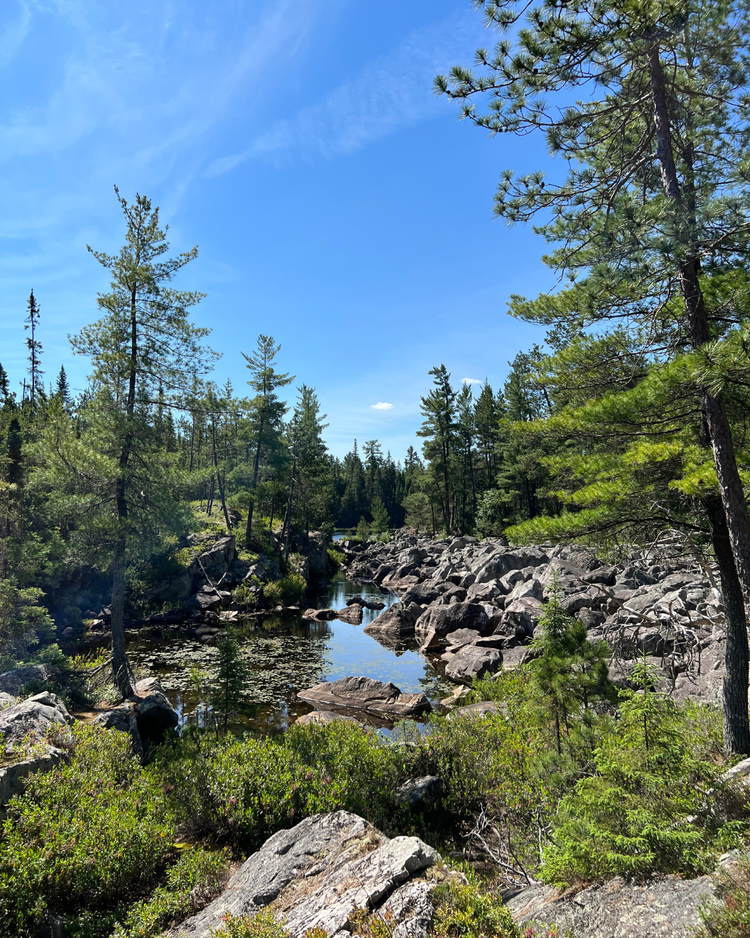 Canoe Tripping in Temagami, Ontario — Emily Gillespie